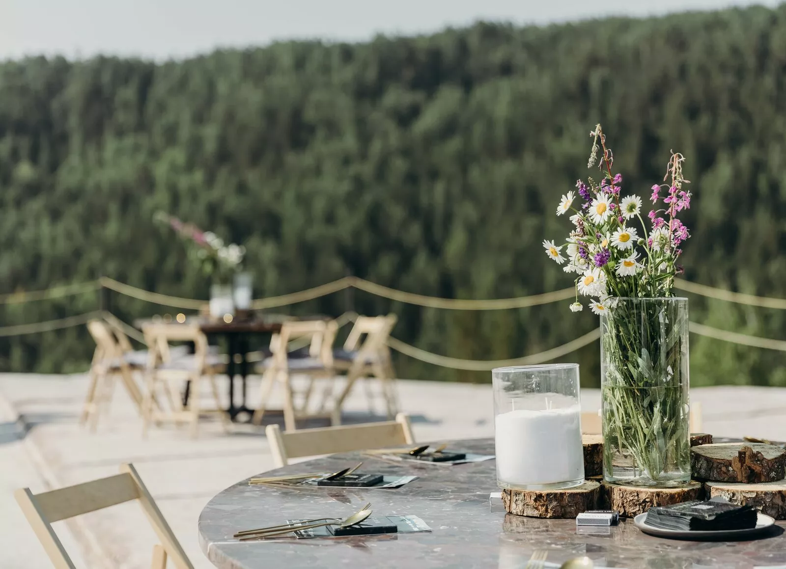 Дичь, дикоросы и дикая природа – что ожидает гостей гастрономического ...